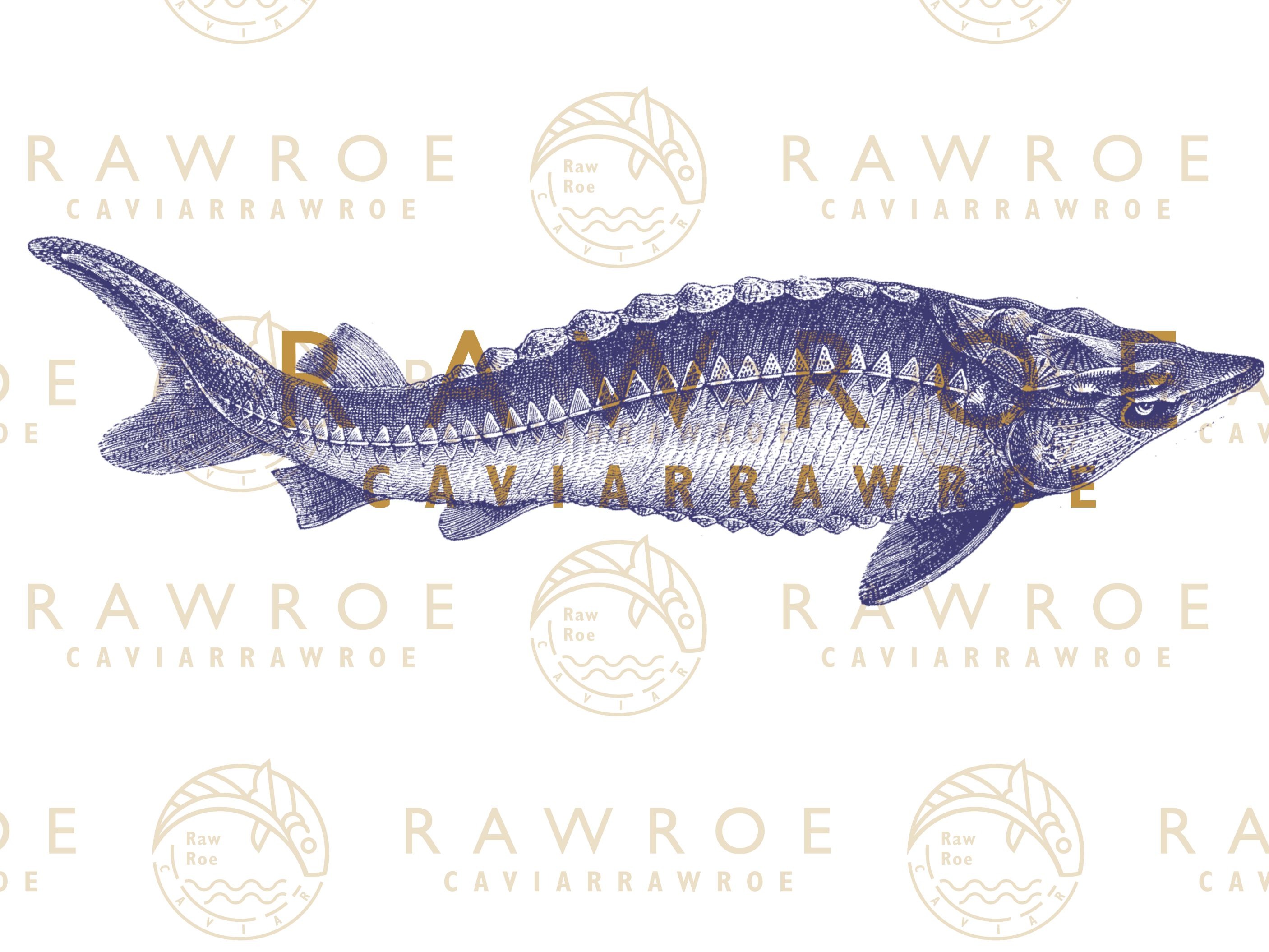 CAVIAR RAW ROE 酱子鱼子酱视觉_张凯臣-站酷ZCOOL