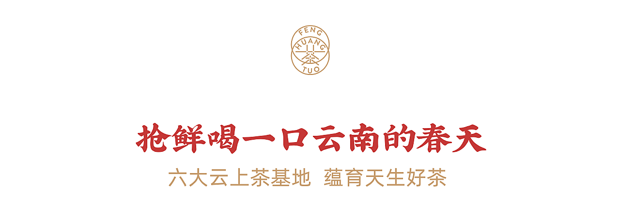 鑫凤凰凤凰沱茶品牌升级and伴手礼包装设计 無非brand 站酷zcool
