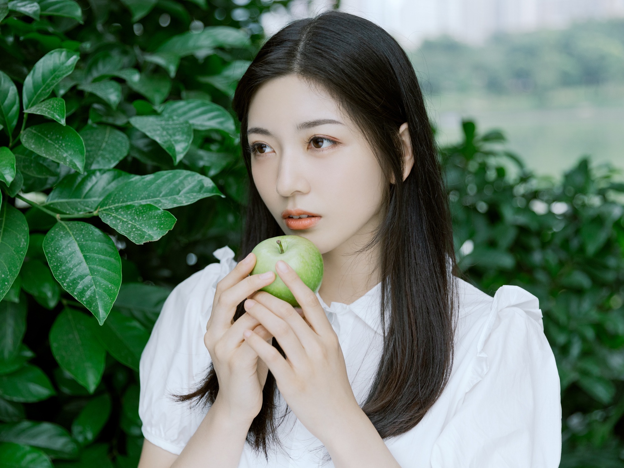 叶子_月海沫-站酷ZCOOL