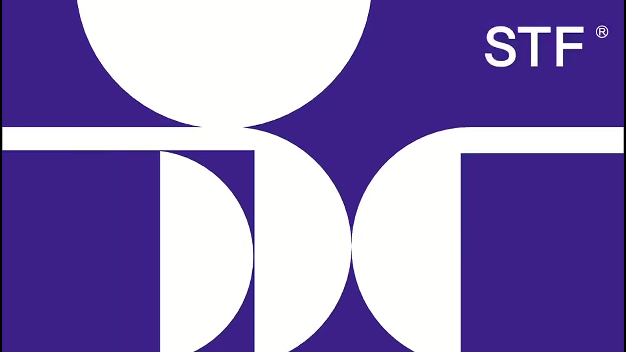 MG动画 STF logo演绎 提案_eesiauZz-站酷ZCOOL