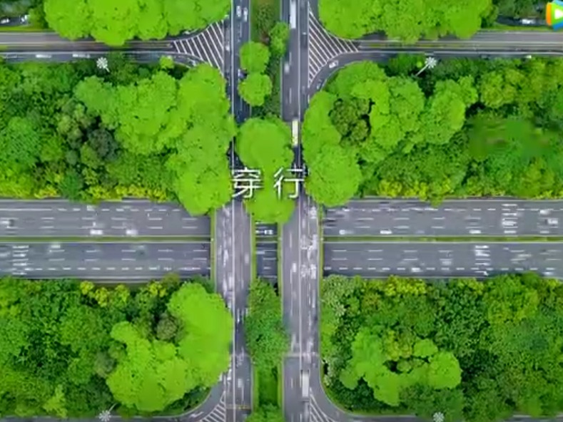 没见过的深圳 短片_芝麻蕉-站酷ZCOOL