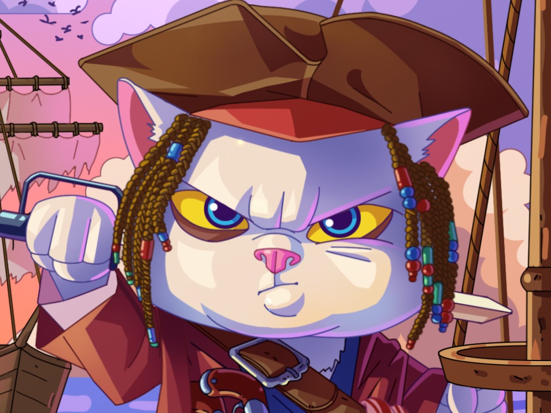 CAPTAIN CAT SPARROW_MisterC-站酷ZCOOL