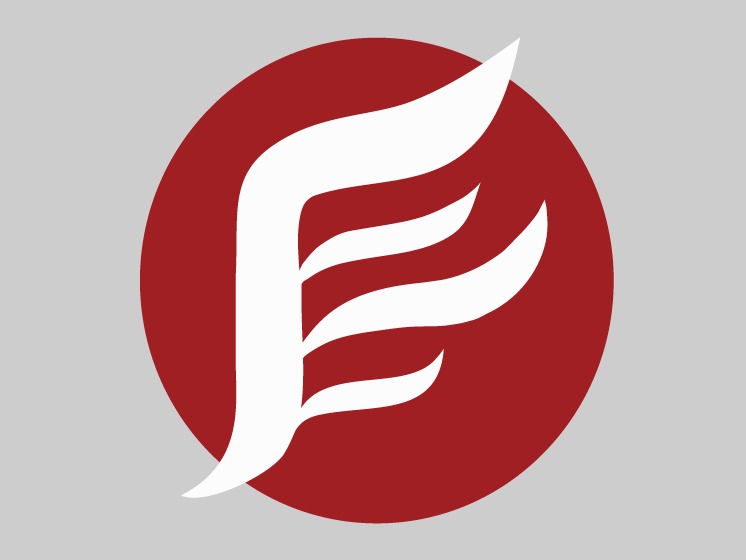 图标 科技公司 VIS手册 原创_GSN关-站酷ZCOOL