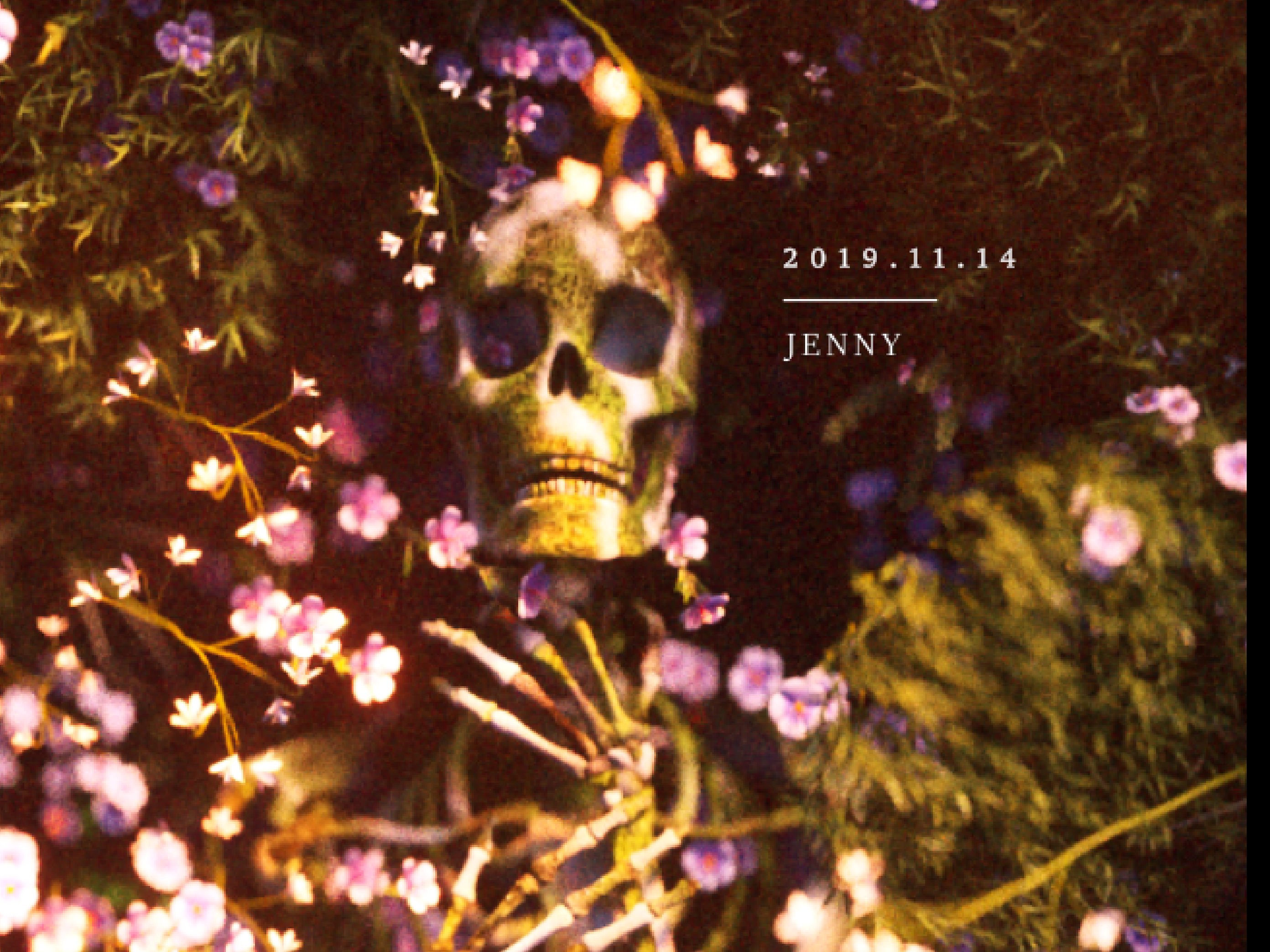 HIGHLIGHT_JennyQwQ-站酷ZCOOL