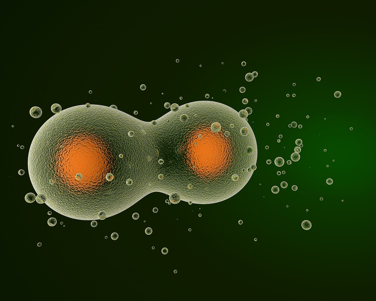 cell_flying_squirrel-站酷ZCOOL