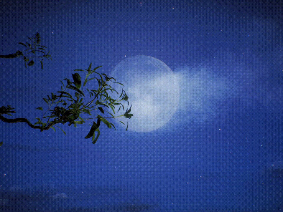 The moon_陈正CCz-站酷ZCOOL