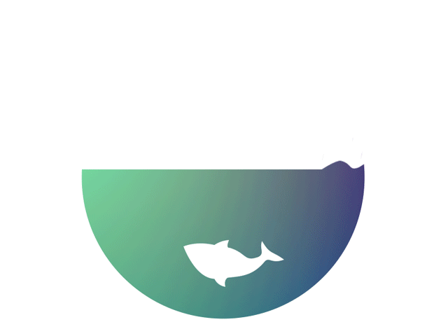 动效练习/AE_Helen_LM-站酷ZCOOL