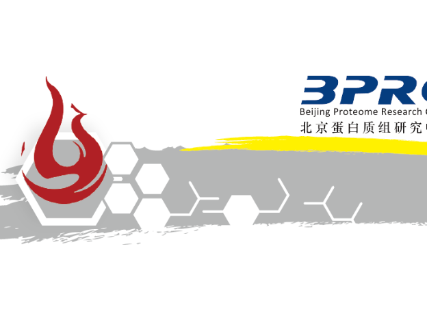 凤凰中心合作logo设计_NoraOS-站酷ZCOOL