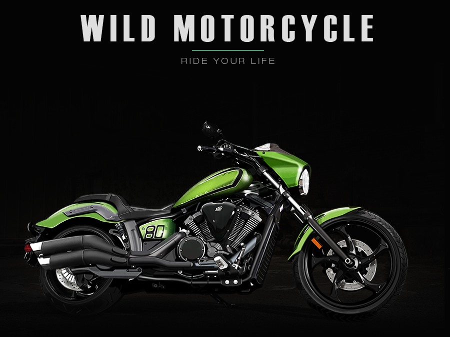 WILD MOTORCYCLE_ZK_蝈蝈侠-站酷ZCOOL