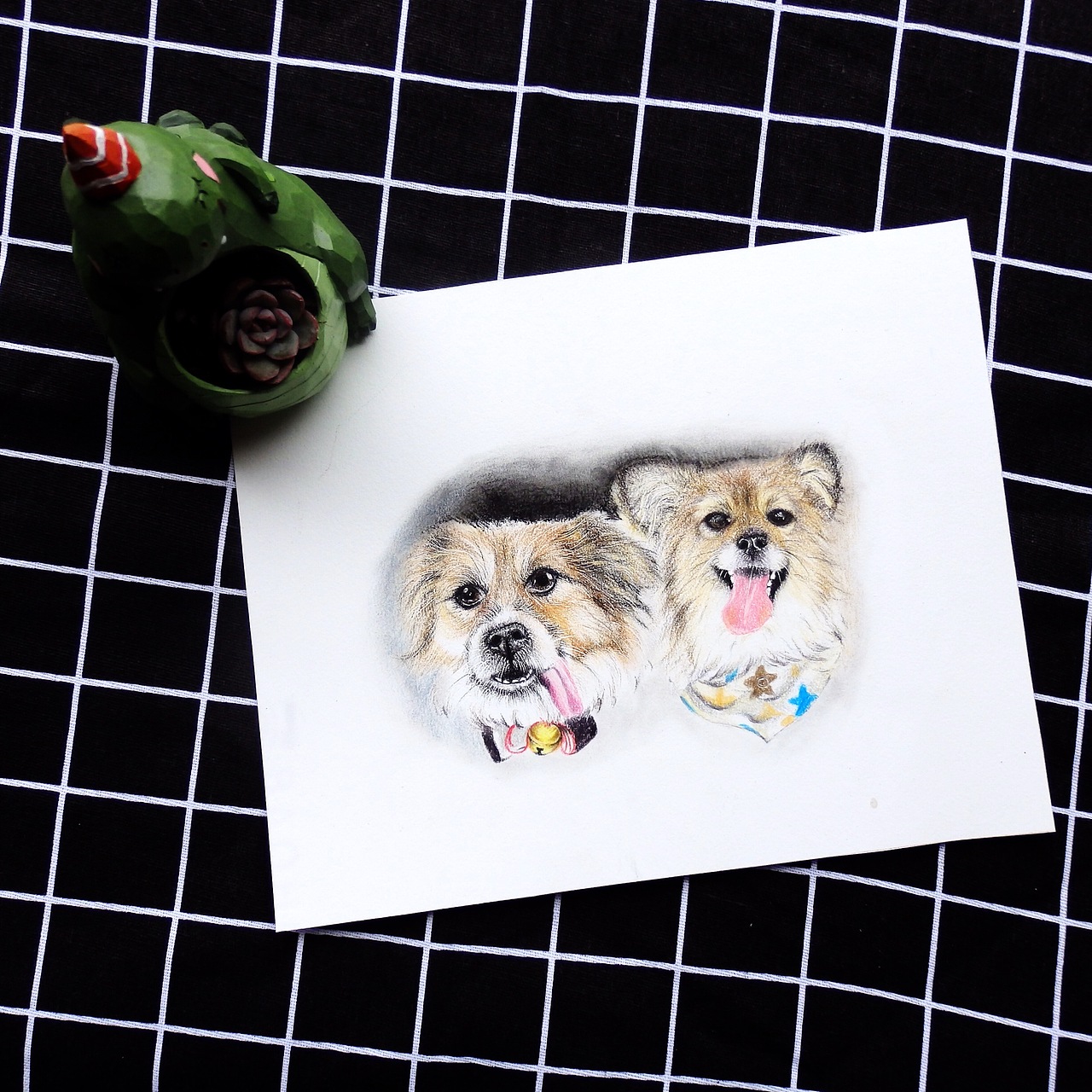 彩铅狗狗_哔哩啵-站酷ZCOOL