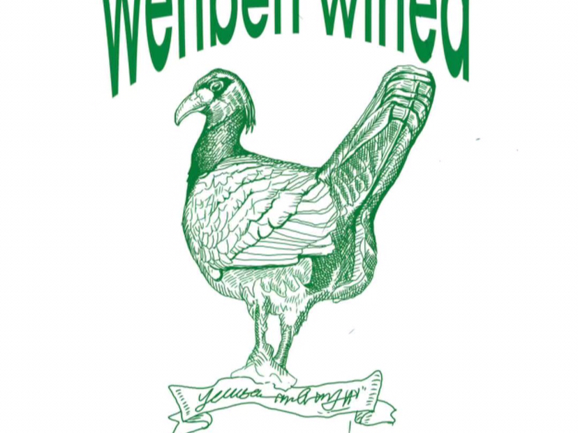 彩虹鸽_竹龙飞-站酷ZCOOL