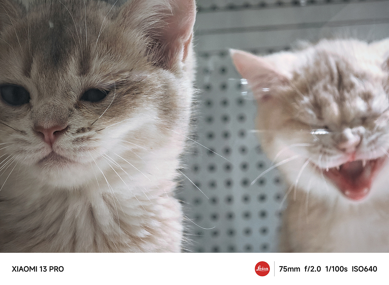 Shot on Xiaomi 13 Pro_高小小小尚-站酷ZCOOL