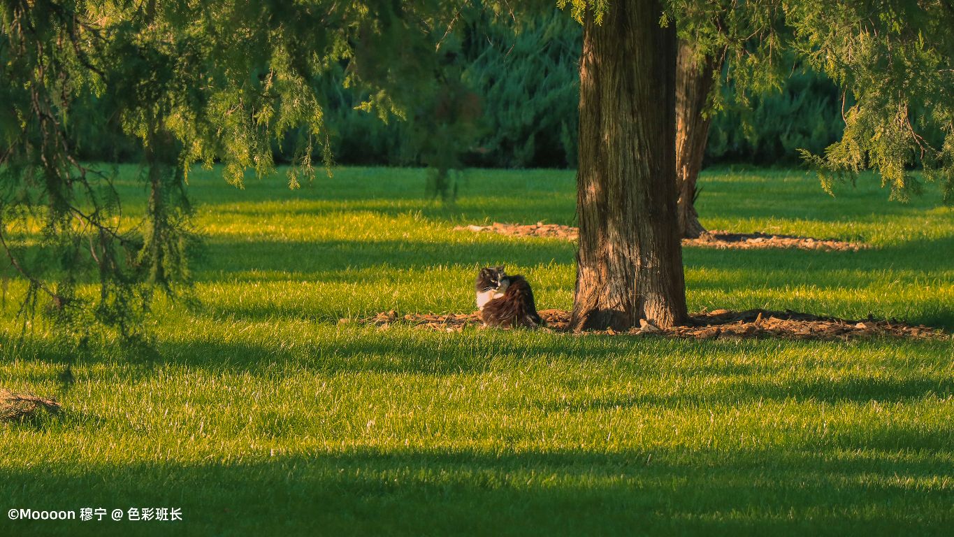 色彩60天挑战赛 day2_一鲸半-站酷ZCOOL