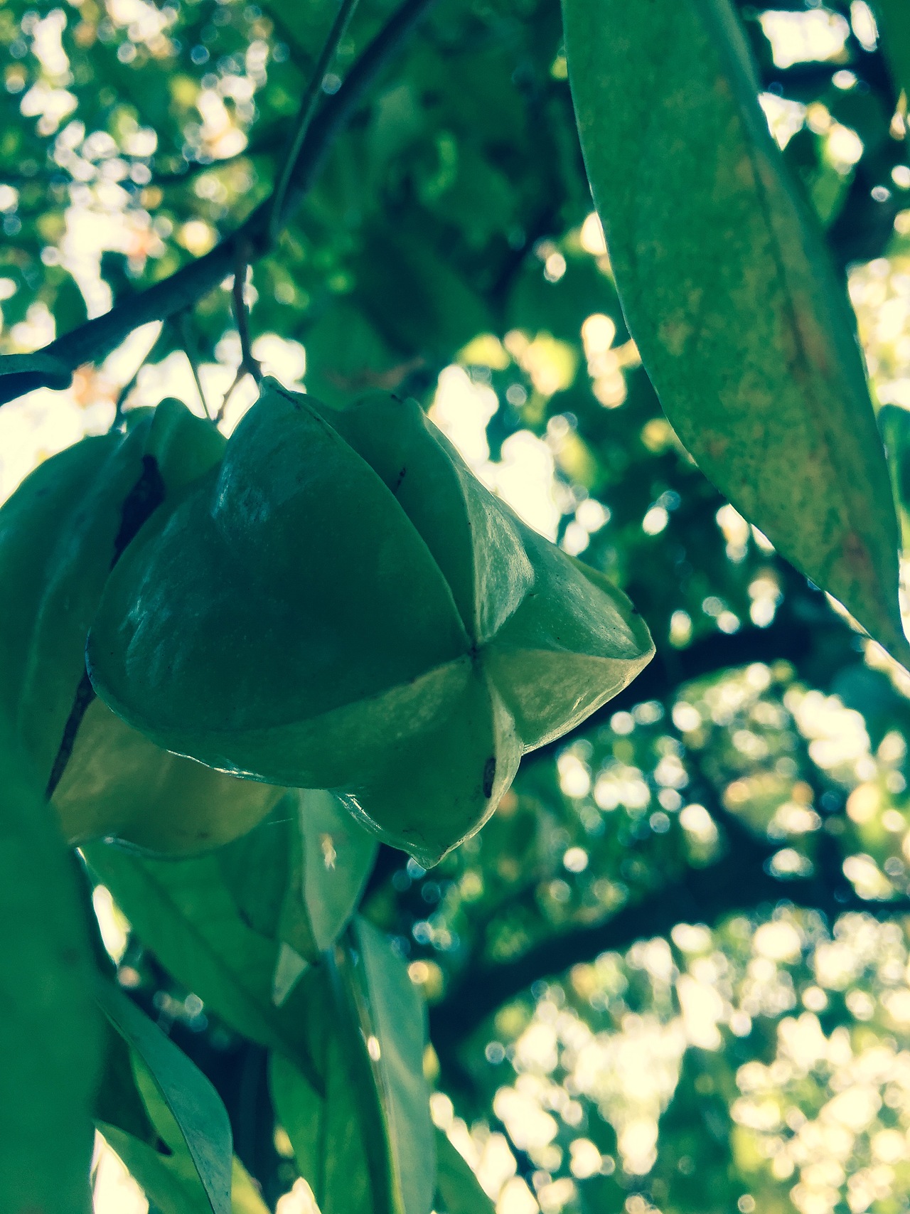 a_曦lip-站酷ZCOOL