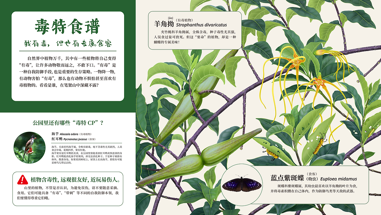 深圳笔架山公园自然教育径--解说牌_进退设计-站酷ZCOOL