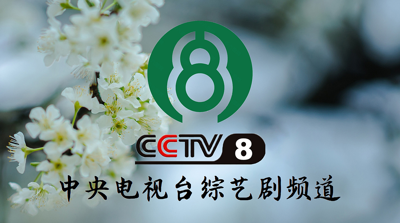 PS中央电视台综艺剧频道（春分版）9P_lipeiqi001-站酷ZCOOL