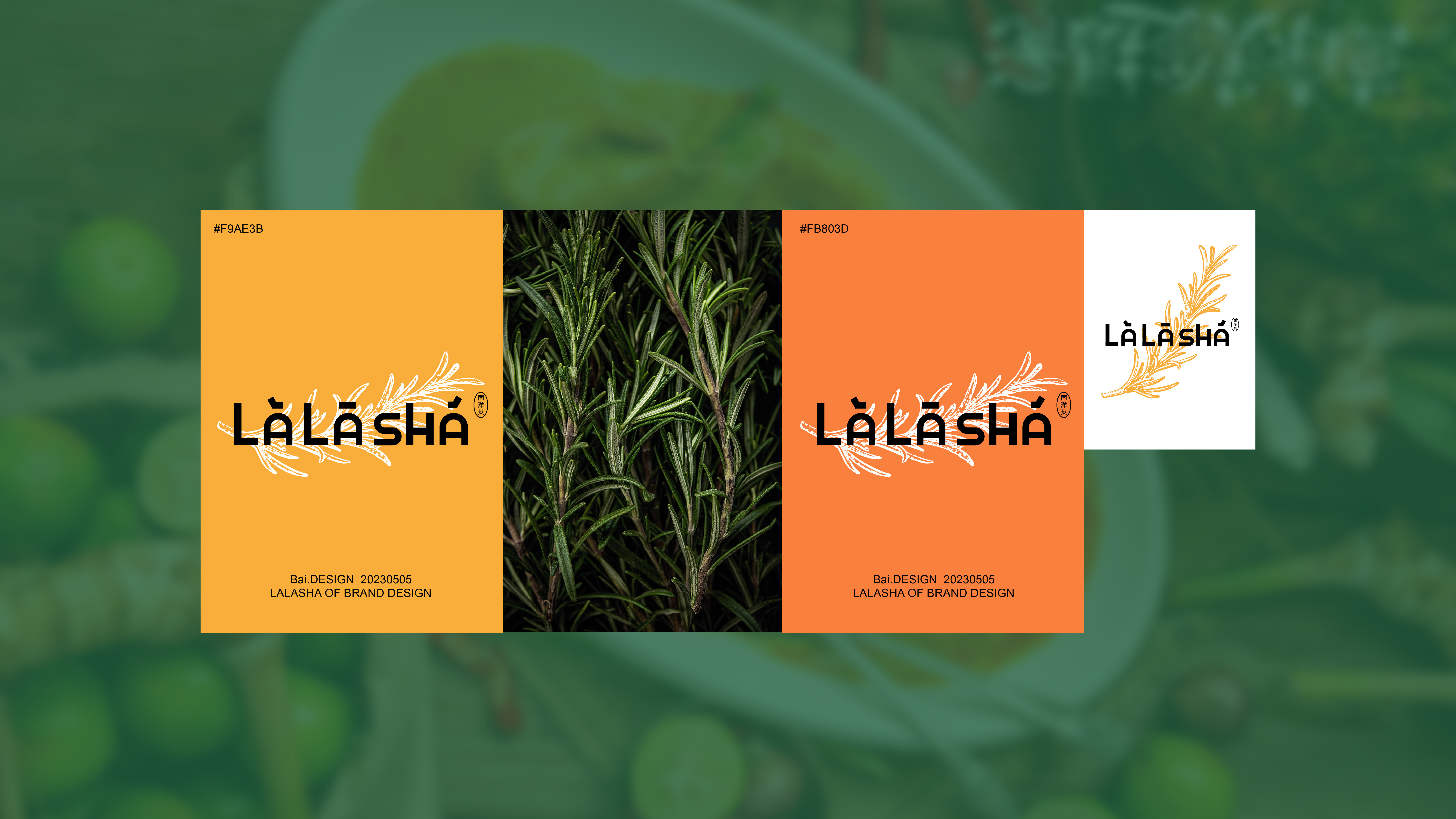 Bai.DESIGN 标志设计小辑_齐小白的病号服-站酷ZCOOL