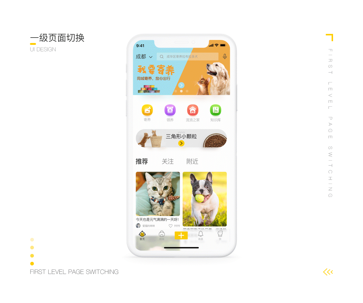 MY PET宠物APP寄养领养爱心公益飞禽走兽猫猫狗狗_喻森森-站酷ZCOOL