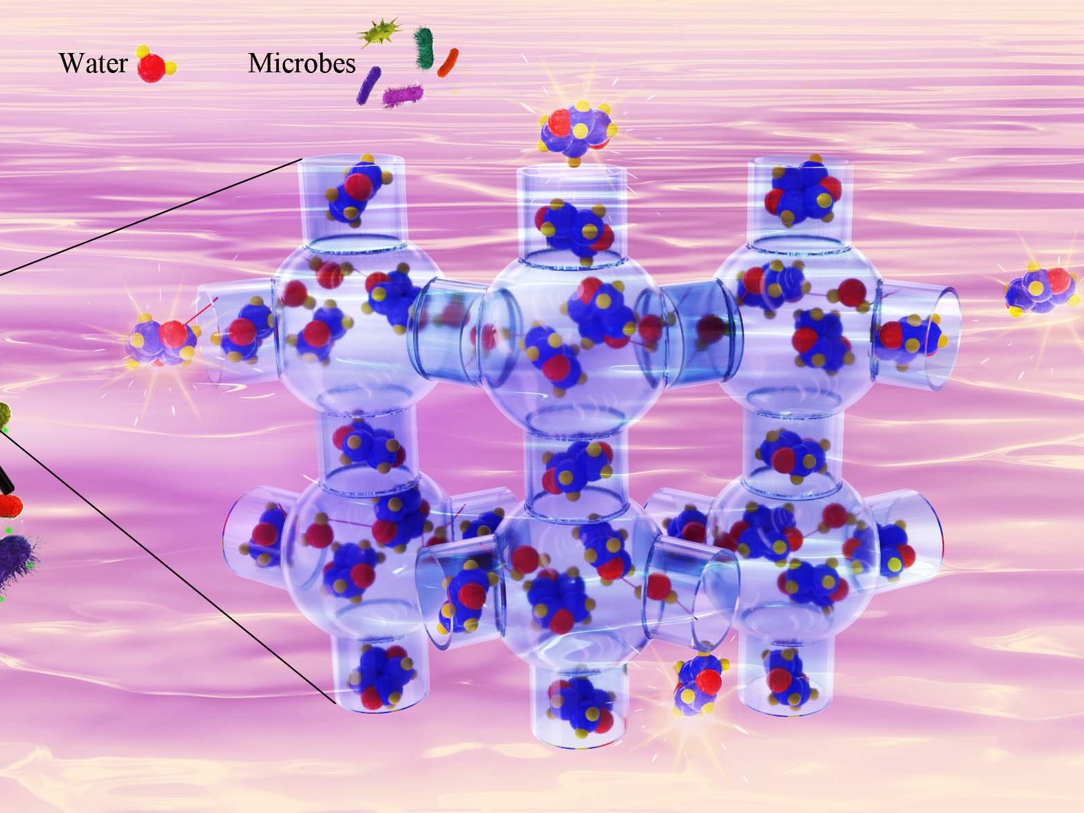 Rise_scihua-站酷ZCOOL