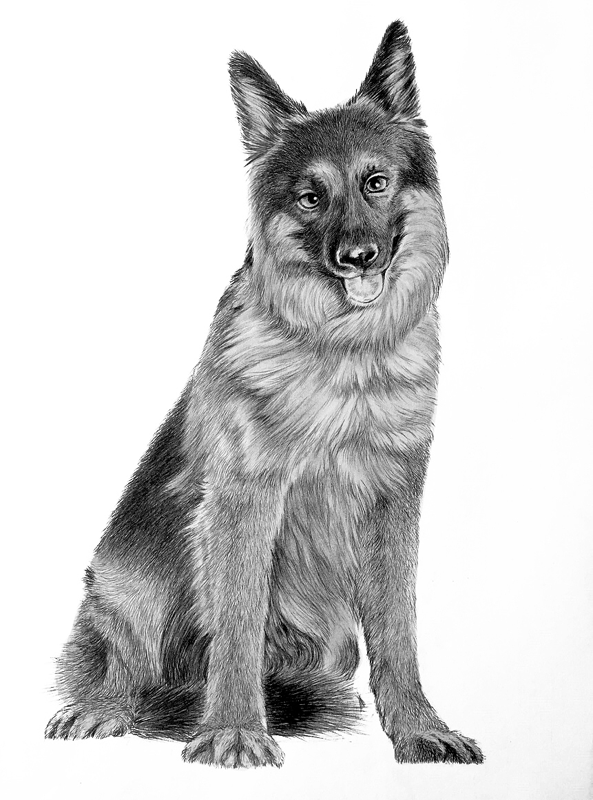 虎子_闲闲的DUSK-站酷ZCOOL