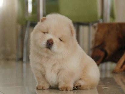 wt4et3wsft3e-站酷ZCOOL