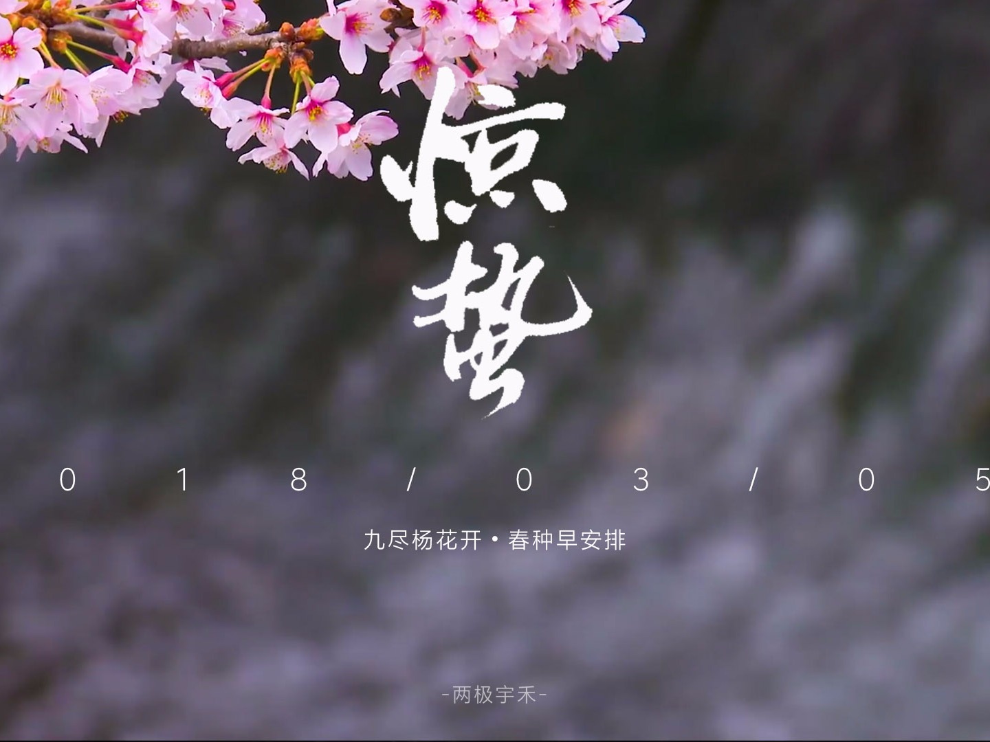 两极宇禾节气视频-惊蛰_两极BIPOR-站酷ZCOOL