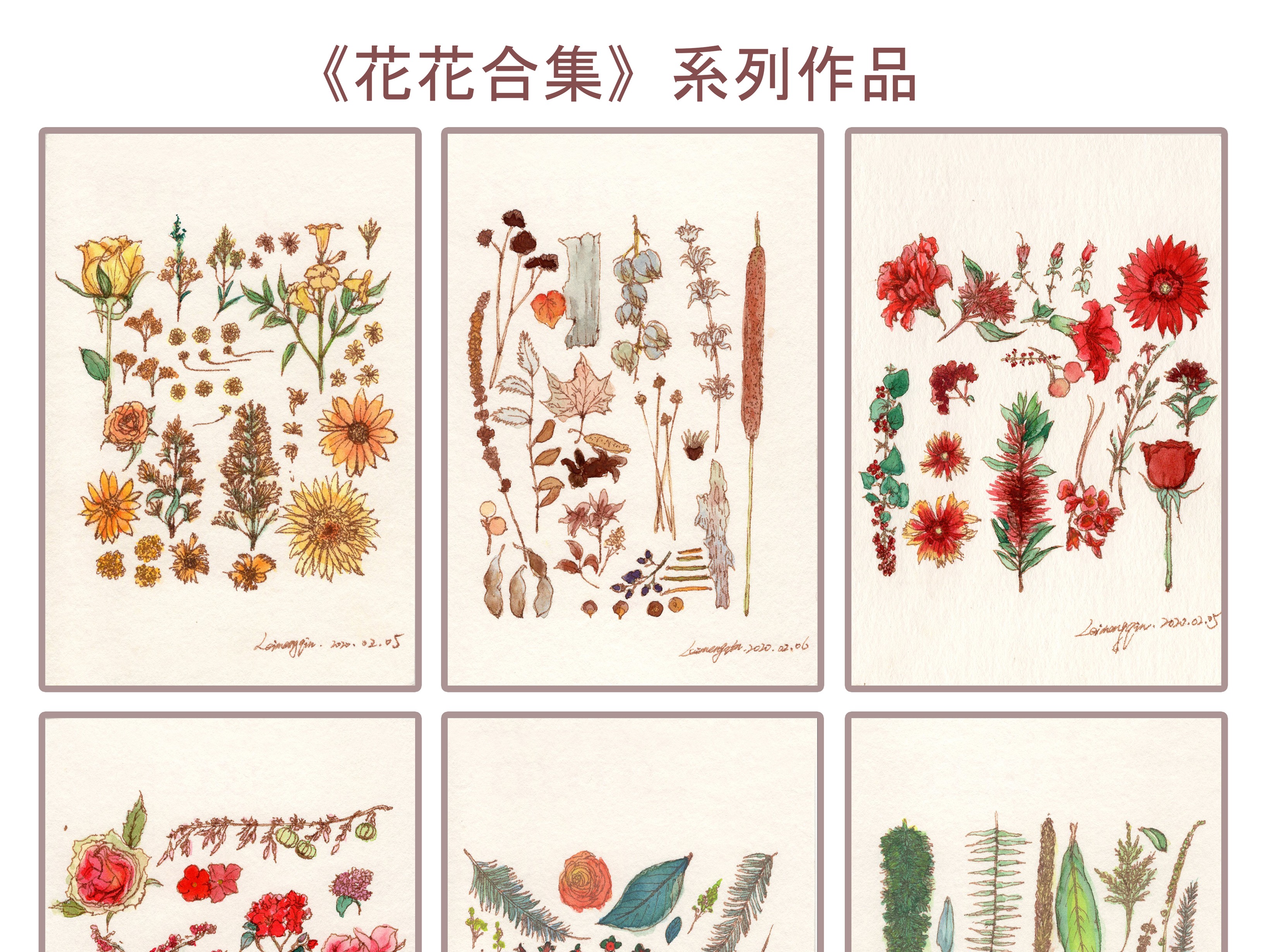 《花花合集》系列作品_一梦_Meng-站酷ZCOOL