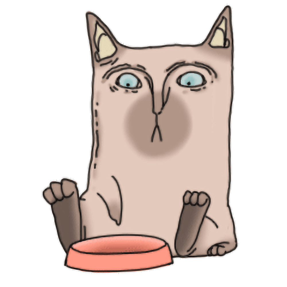 《Busy Cats》gif表情包制作_KeizooChen陈祺朝-站酷ZCOOL