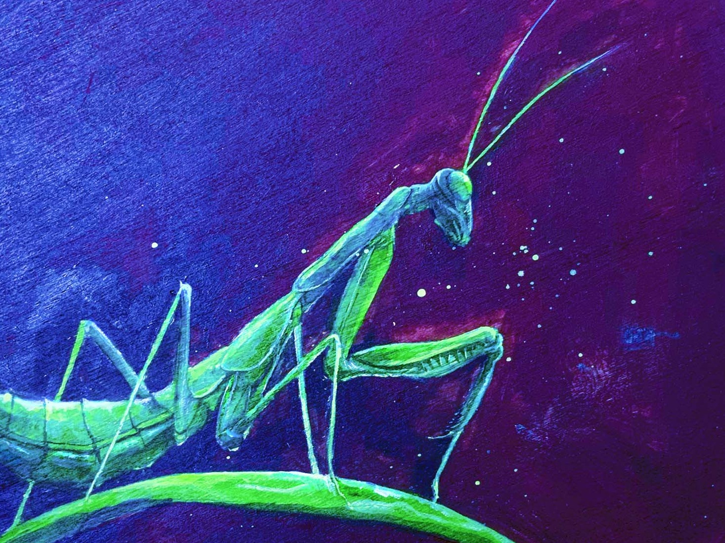 昆虫记01_家轩UA-站酷ZCOOL