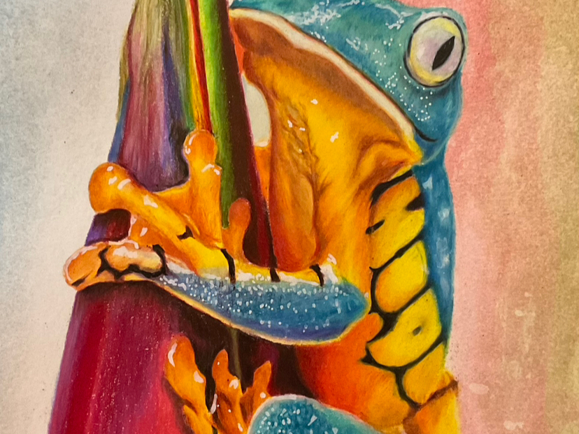 🐸🐸🐸_Aron_C-站酷ZCOOL