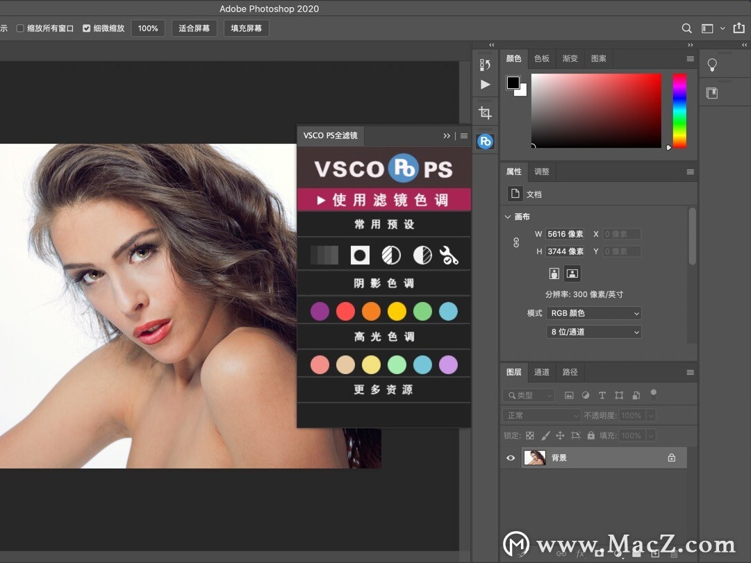 VSCO全滤镜一键调色PS插件676款(ps中的vsco全滤镜)_醉舞千年杯莫停-站酷ZCOOL