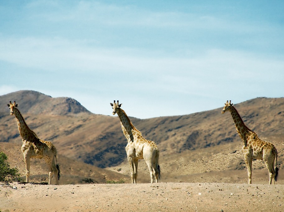 达芬奇调色 /照片调色_7obu_Sunburst-站酷ZCOOL