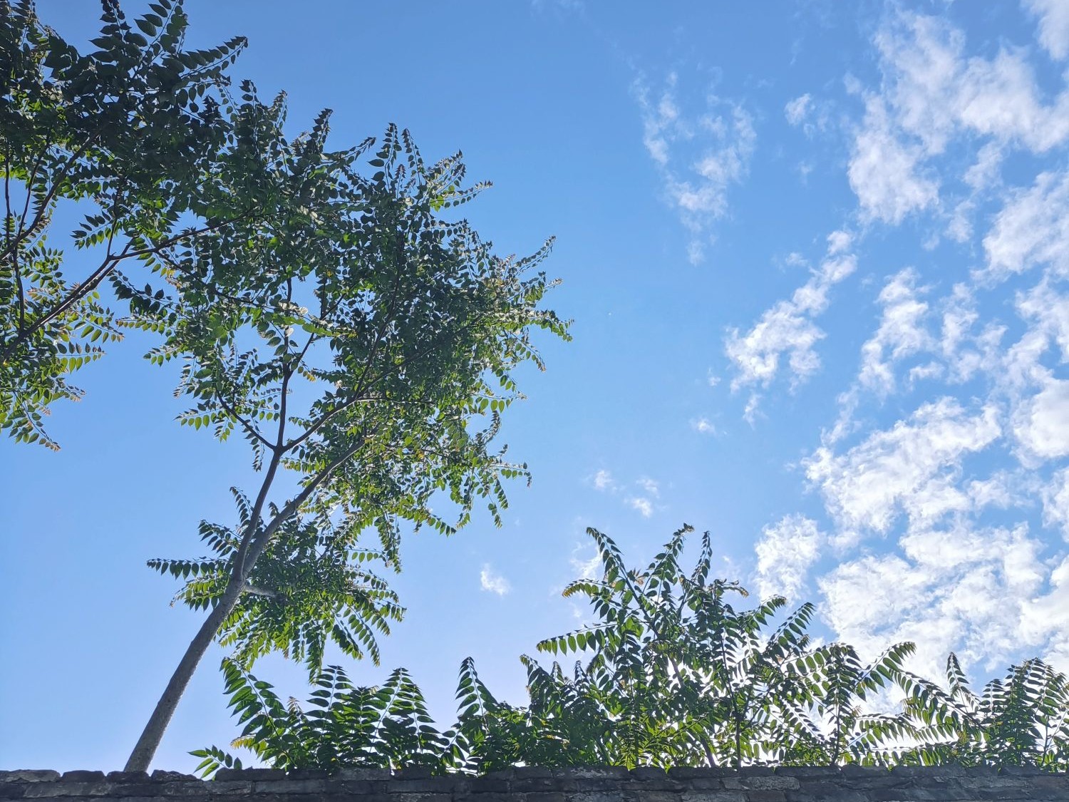 生命_置南玄-站酷ZCOOL