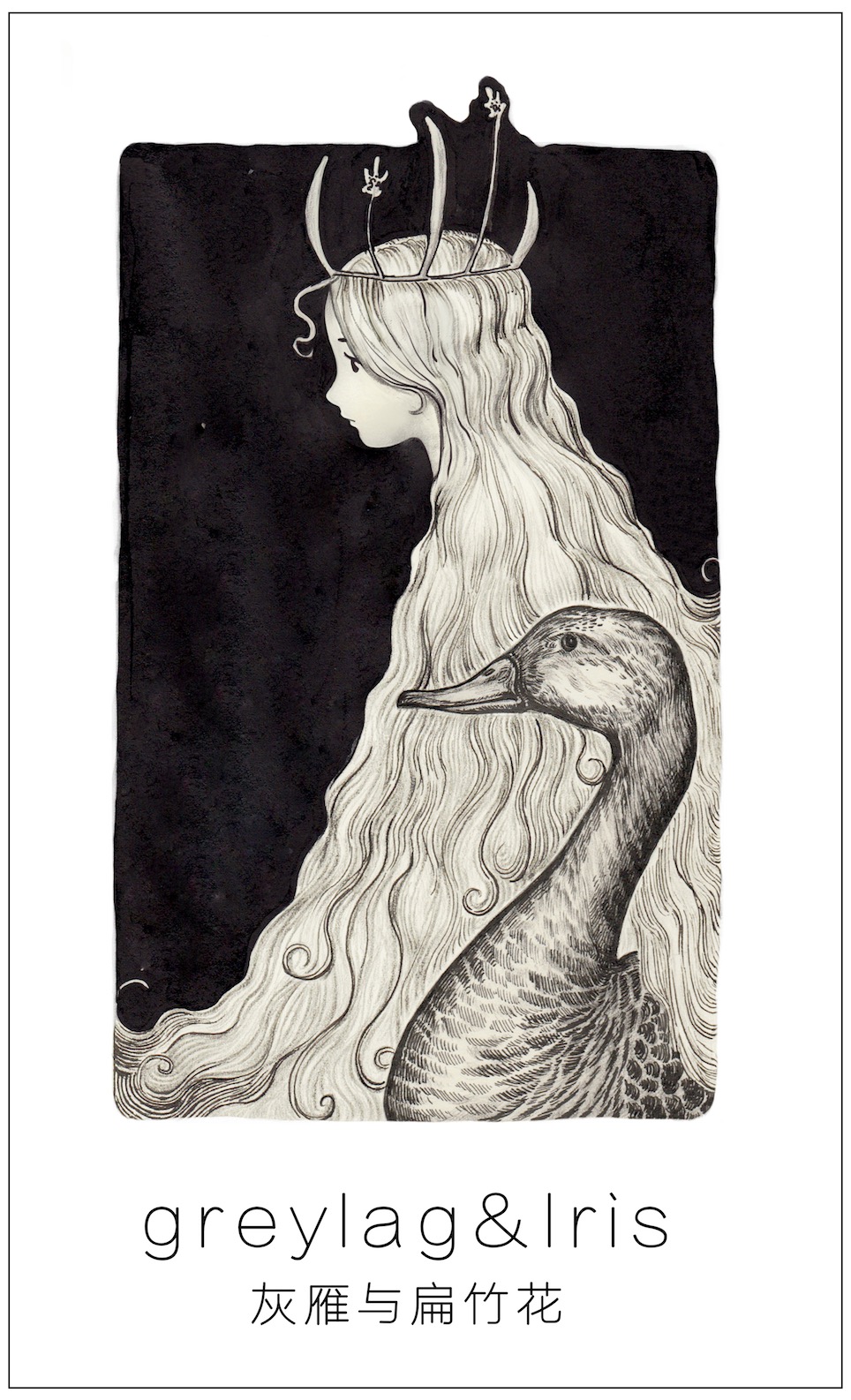 灰雁与扁竹花_Fifi文艺Buff-站酷ZCOOL