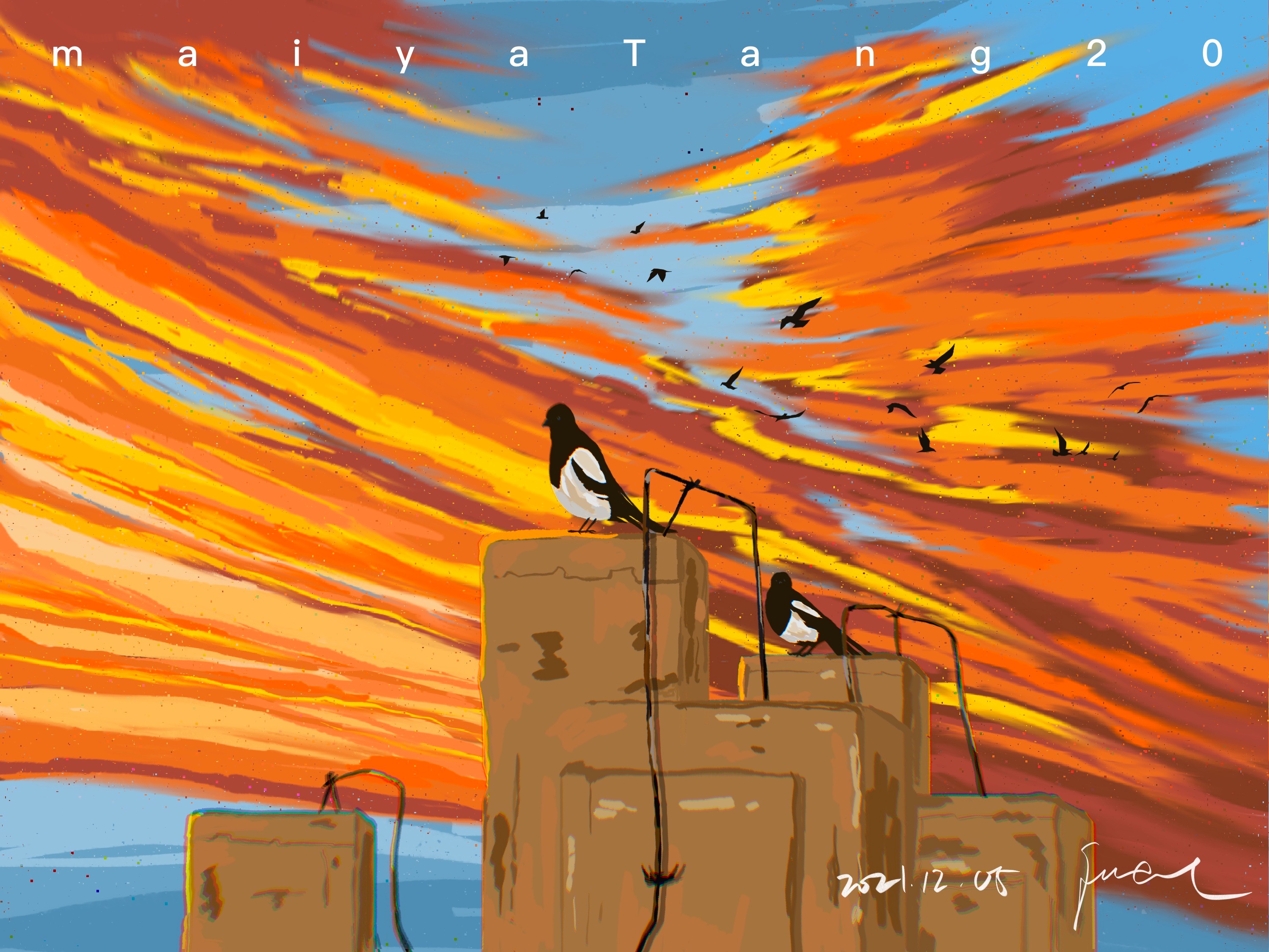 速途练习_麦芽Tang20-站酷ZCOOL