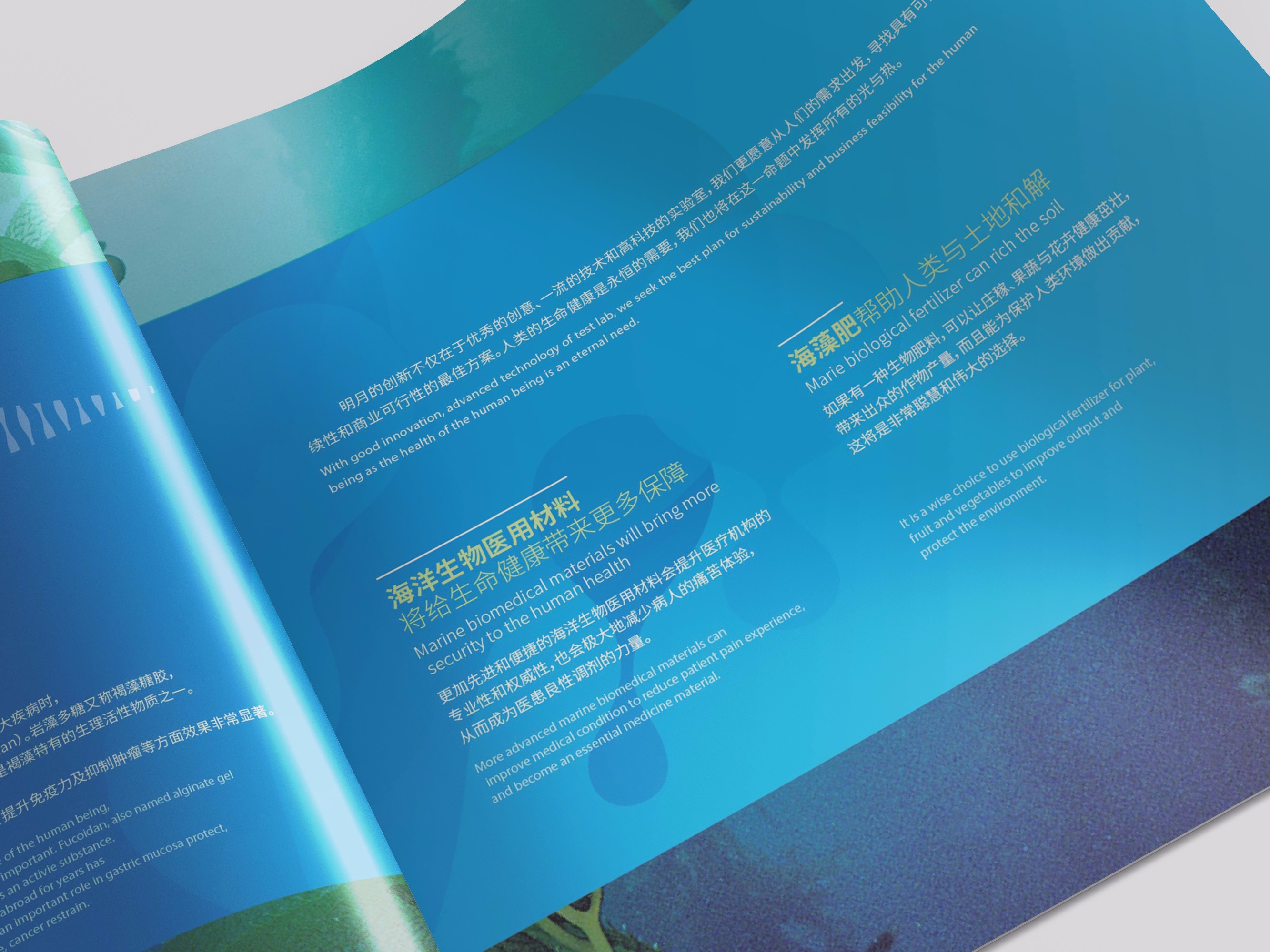 公司画册 企业画册_王萍CY-站酷ZCOOL