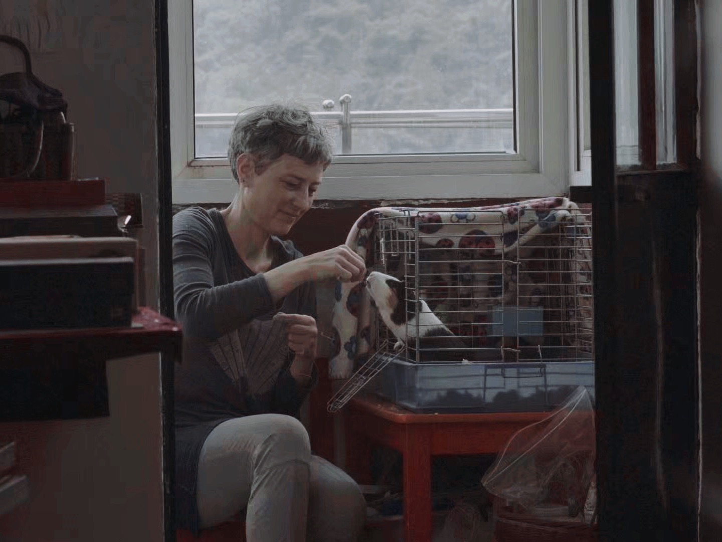 瑞士苏黎世人在中国研习书法_INCHI_AZ-站酷ZCOOL