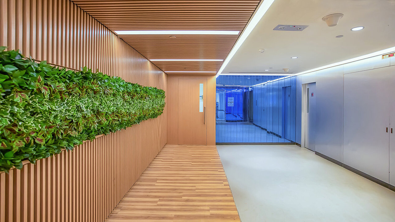 香港电讯 (HKT) - 食堂_LeoChanCreative-站酷ZCOOL