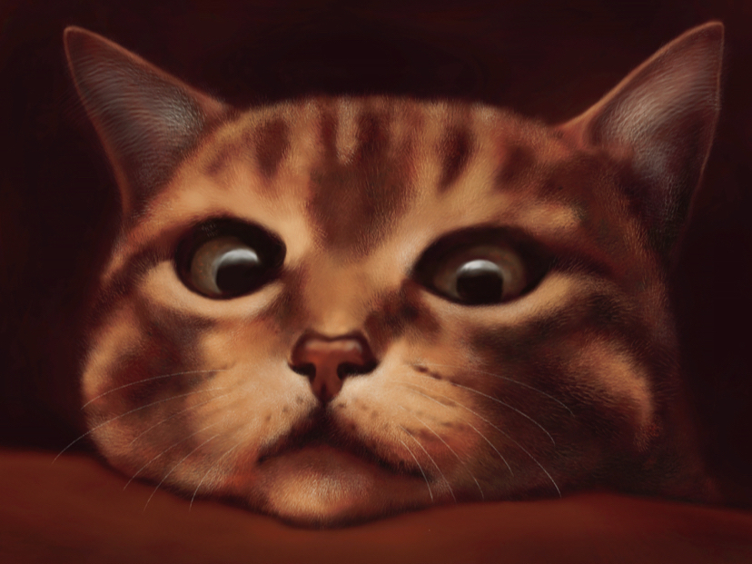 Diane Lin 超写实数字绘画艺术品 # Astin cat_Diva数字IP形象-站酷ZCOOL