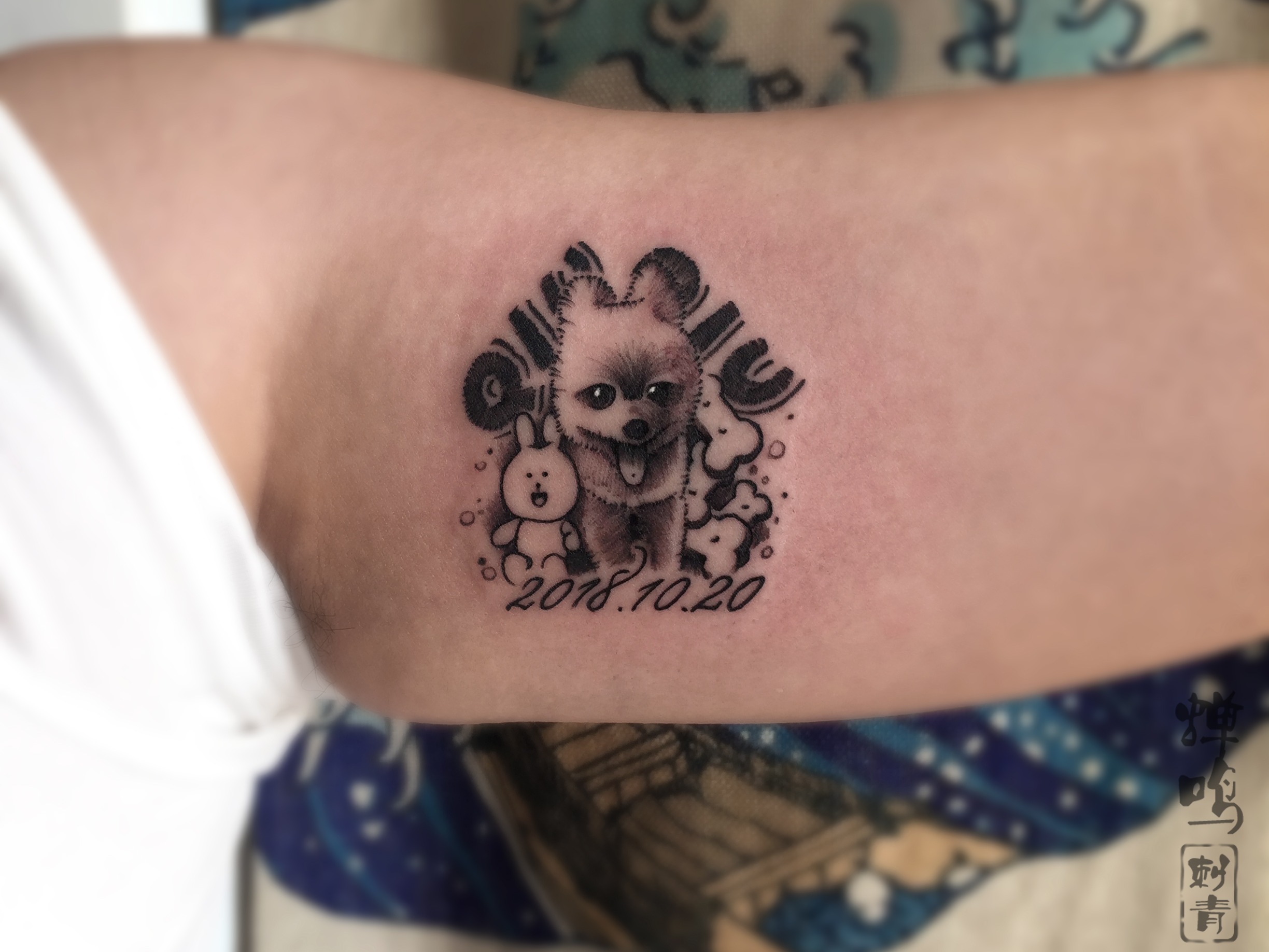 铲屎官系列_2nu7lg-站酷ZCOOL