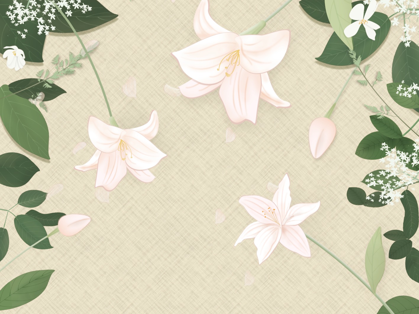 花卉背景_Jacqueline_Li-站酷ZCOOL