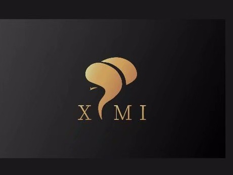 美妆LOGO练习_Piesion-站酷ZCOOL