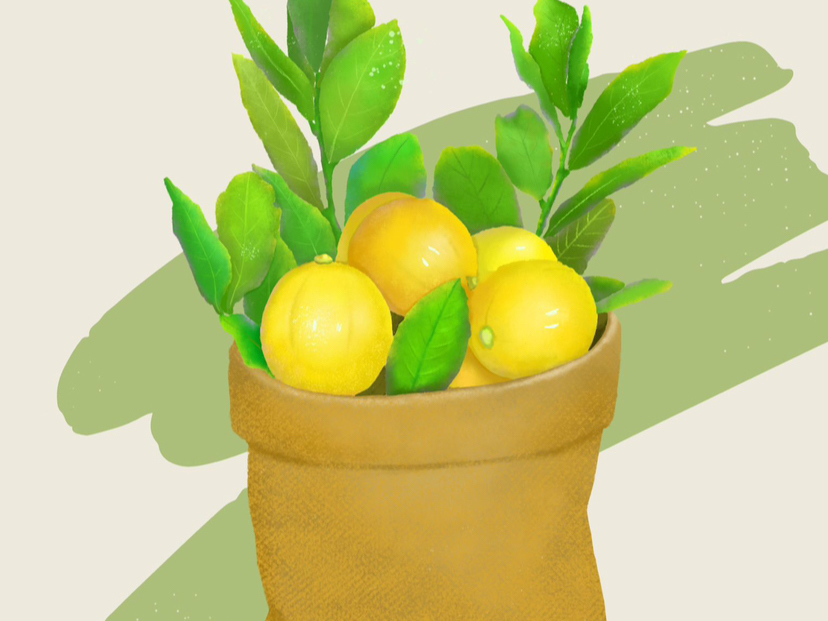 iPad肌理风插画_遇见鹿角-站酷ZCOOL