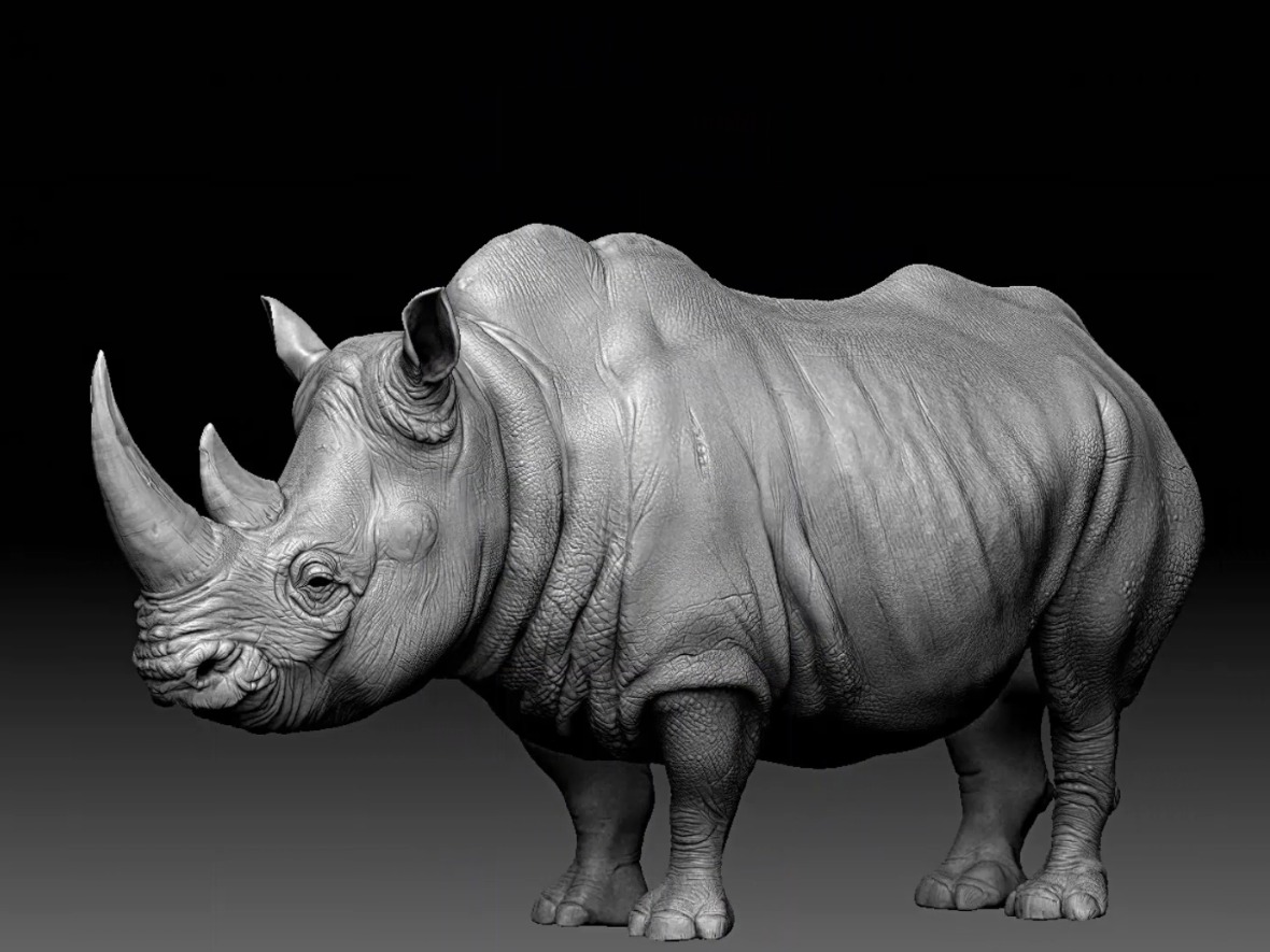 zb模型_素材网站_图片免费下载-ZCOOL站酷