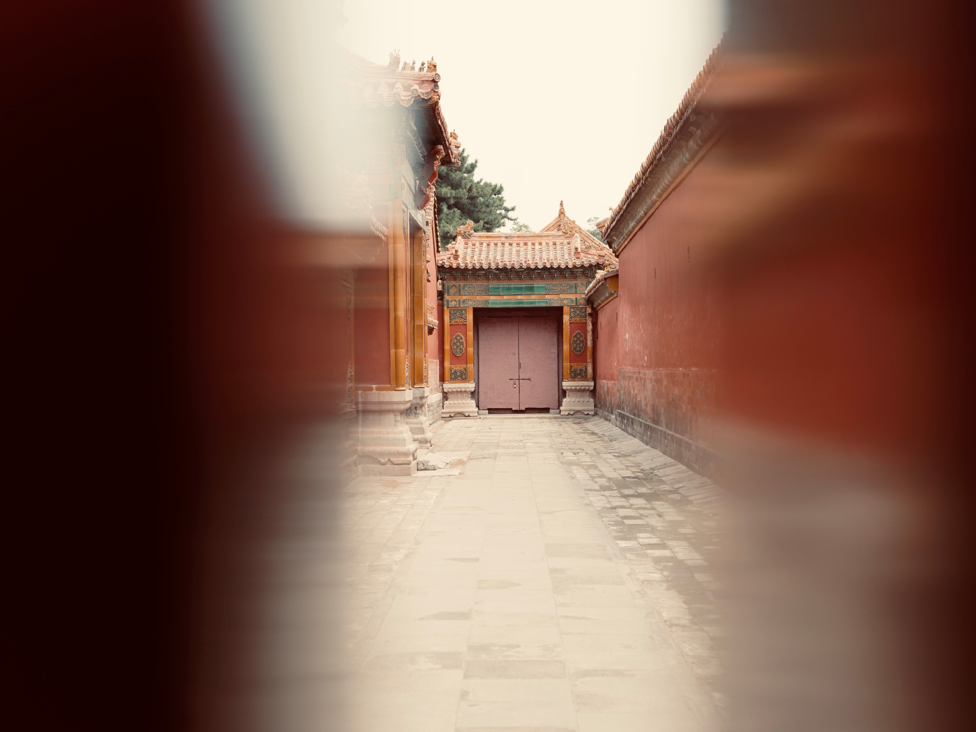 故宫_TYX萱儿-站酷ZCOOL