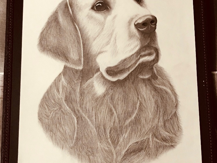 练习_xiaowu吴-站酷ZCOOL