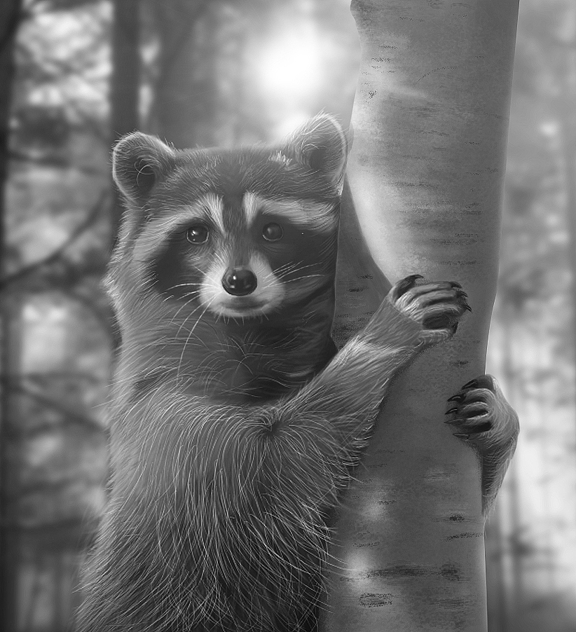 手绘板作品-狗熊爬树_泽Zzzzz-站酷ZCOOL