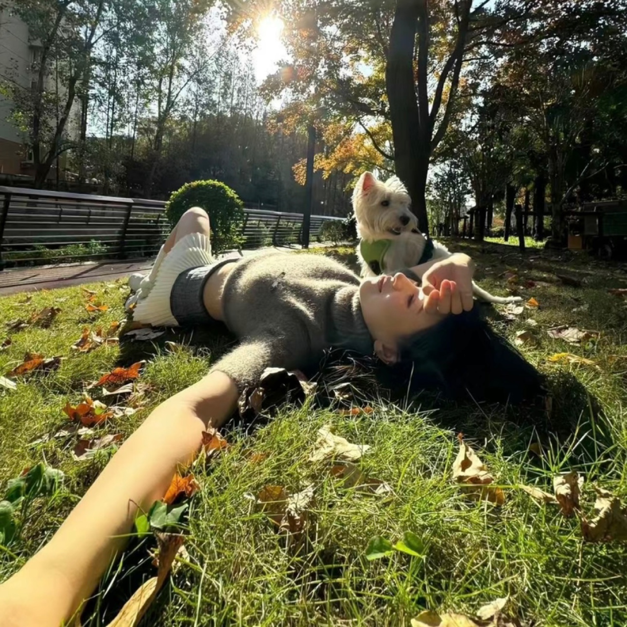 Cheese喵喵创作者主页_苏州学生-站酷ZCOOL