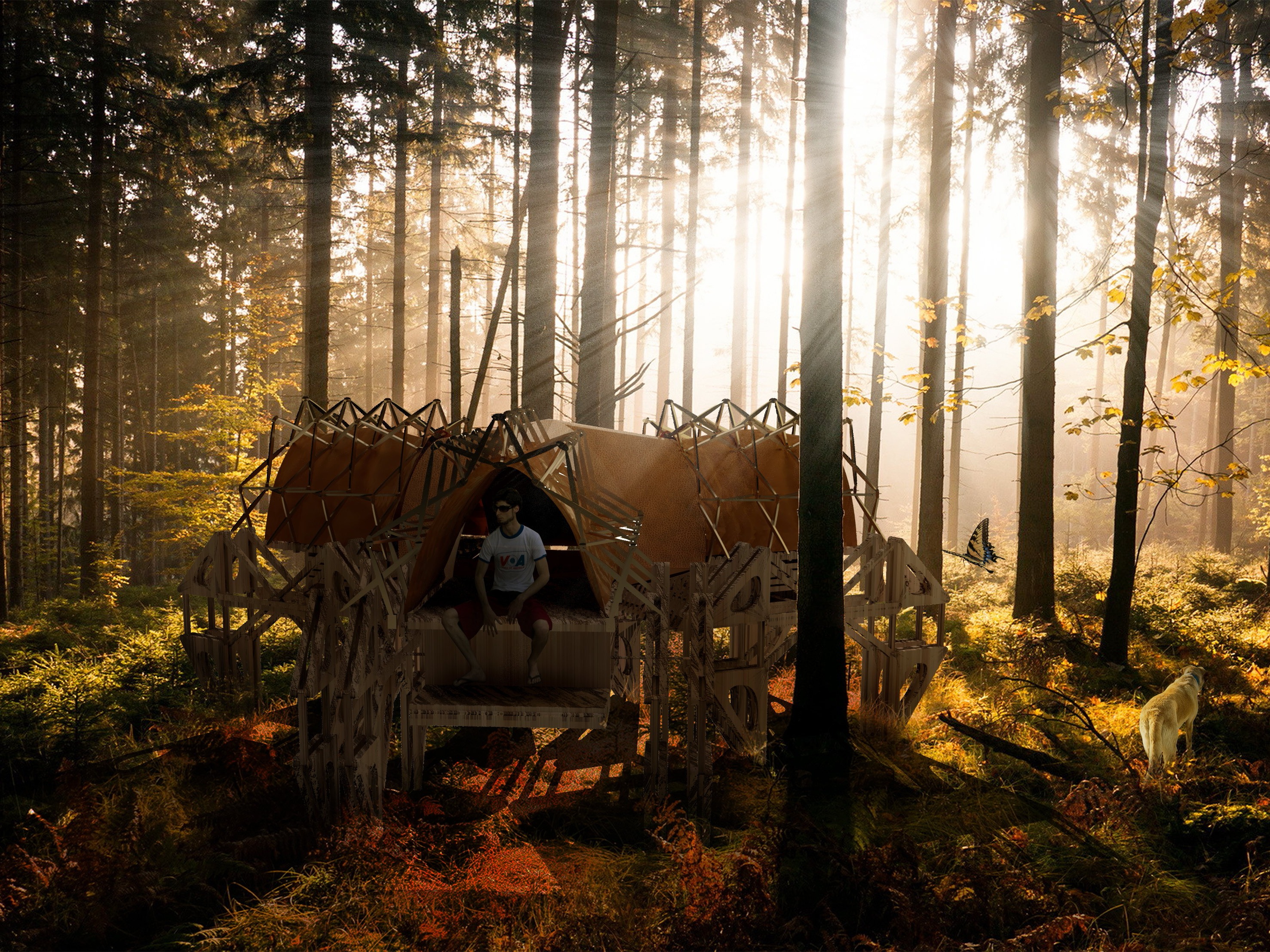 House In Forest_Uooo997-站酷ZCOOL