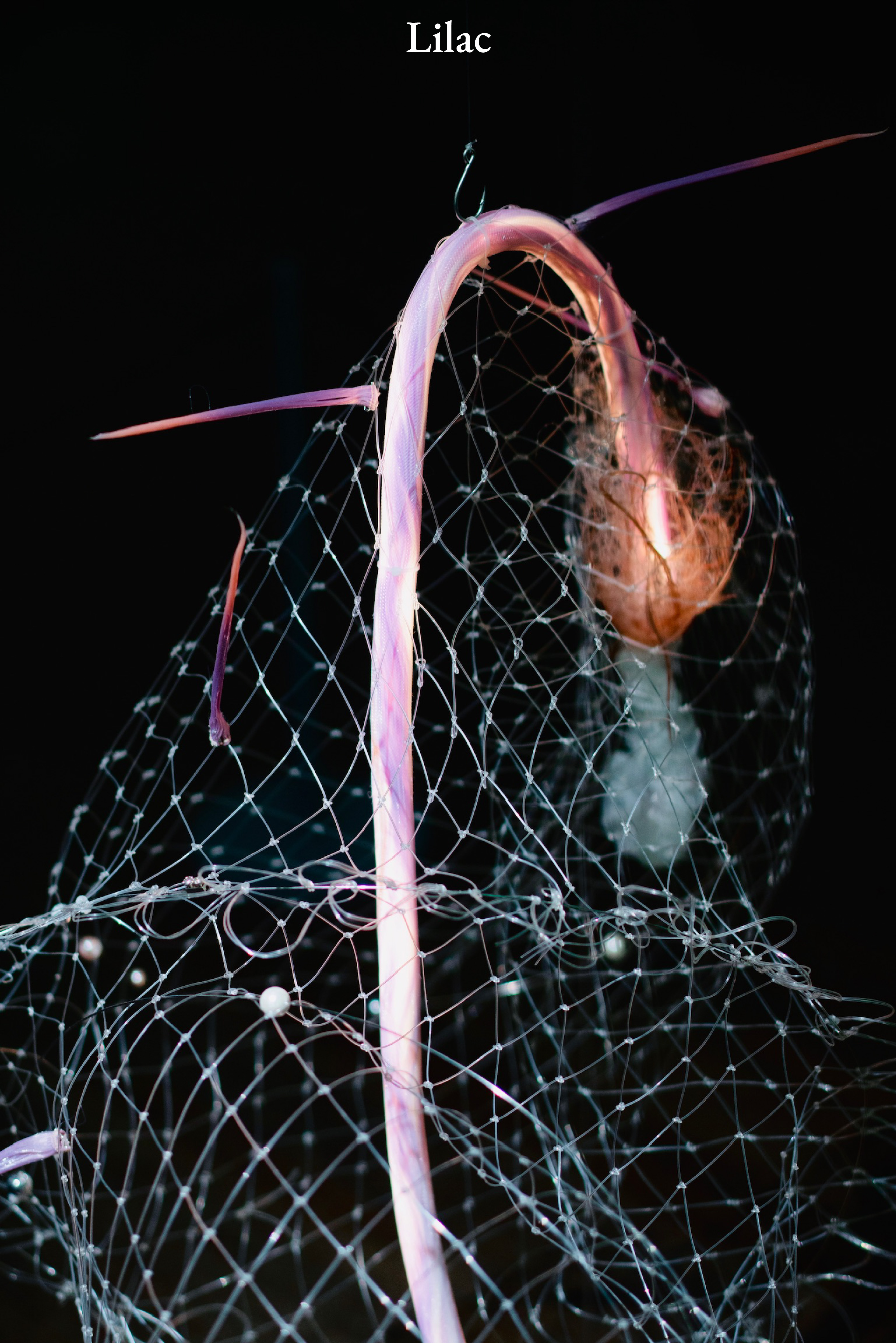 🫧 迷 • 体Riddle Bodies 🫧_Lilac_Original-站酷ZCOOL